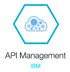 ibm practice - Spice Technology Group